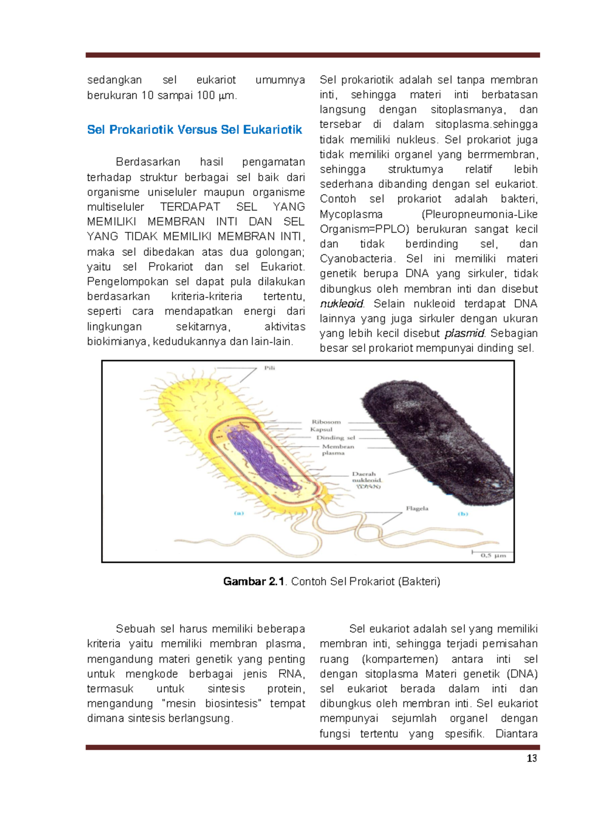 Biologi reproduksi-7 - sedangkan sel eukariot umumnya berukuran 10 ...