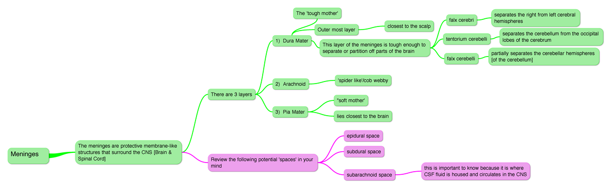 PARA 128 - Nervous - SUPP - Meninges Mindmap - Meninges The meninges are protective membrane ...