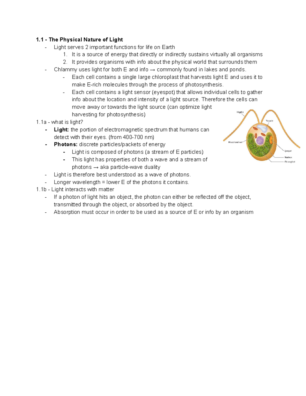 Chapter 1.1 and 1.4 notes - 1 - The Physical Nature of Light - Light ...