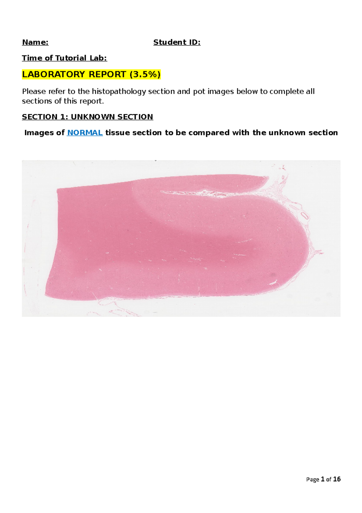 WEEK 12 - Full lab notes - Name: Student ID: Time of Tutorial Lab ...