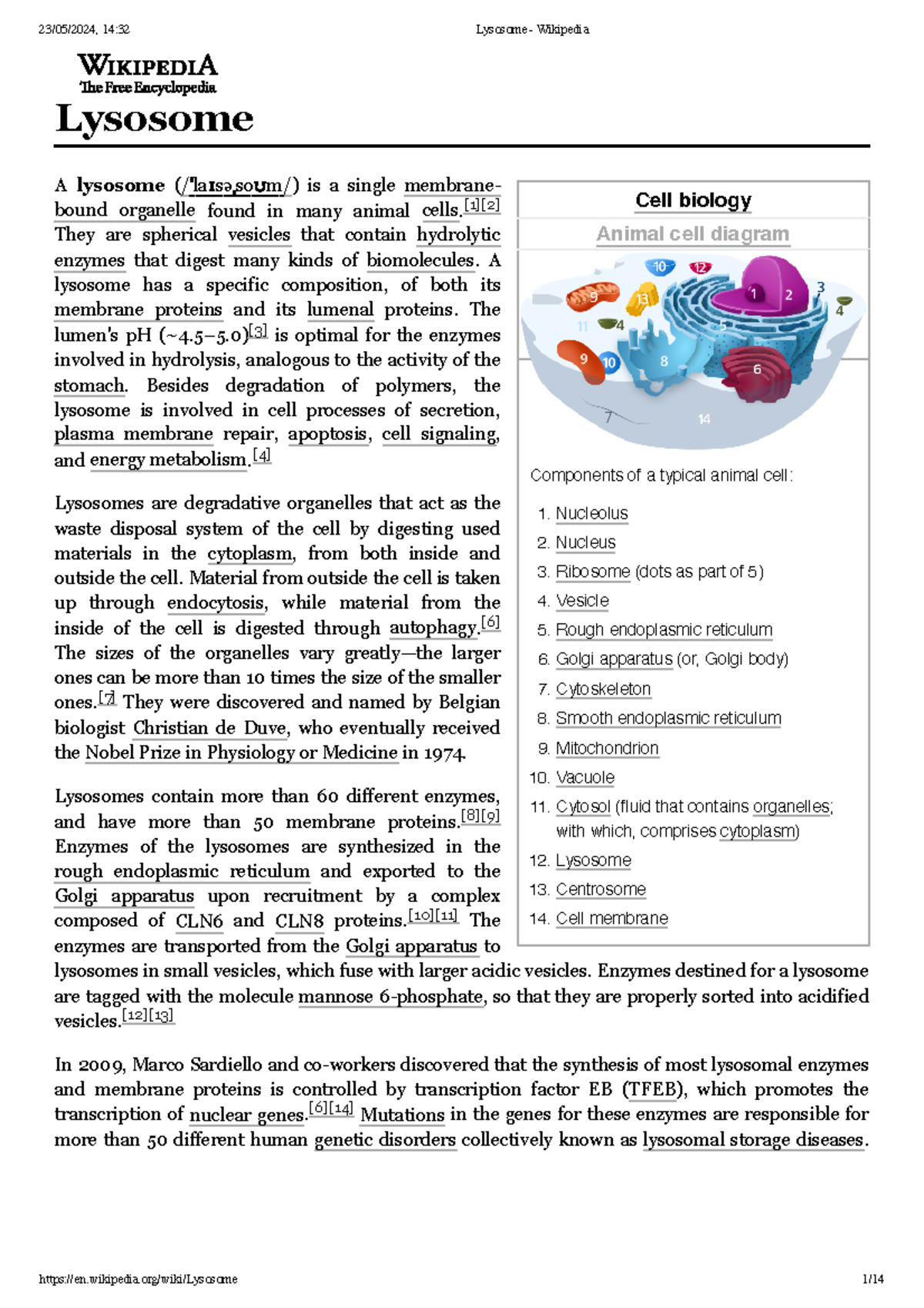 Lysosome - Wikipedia - Here - Cell biology Animal cell diagram Components of a typical animal ...