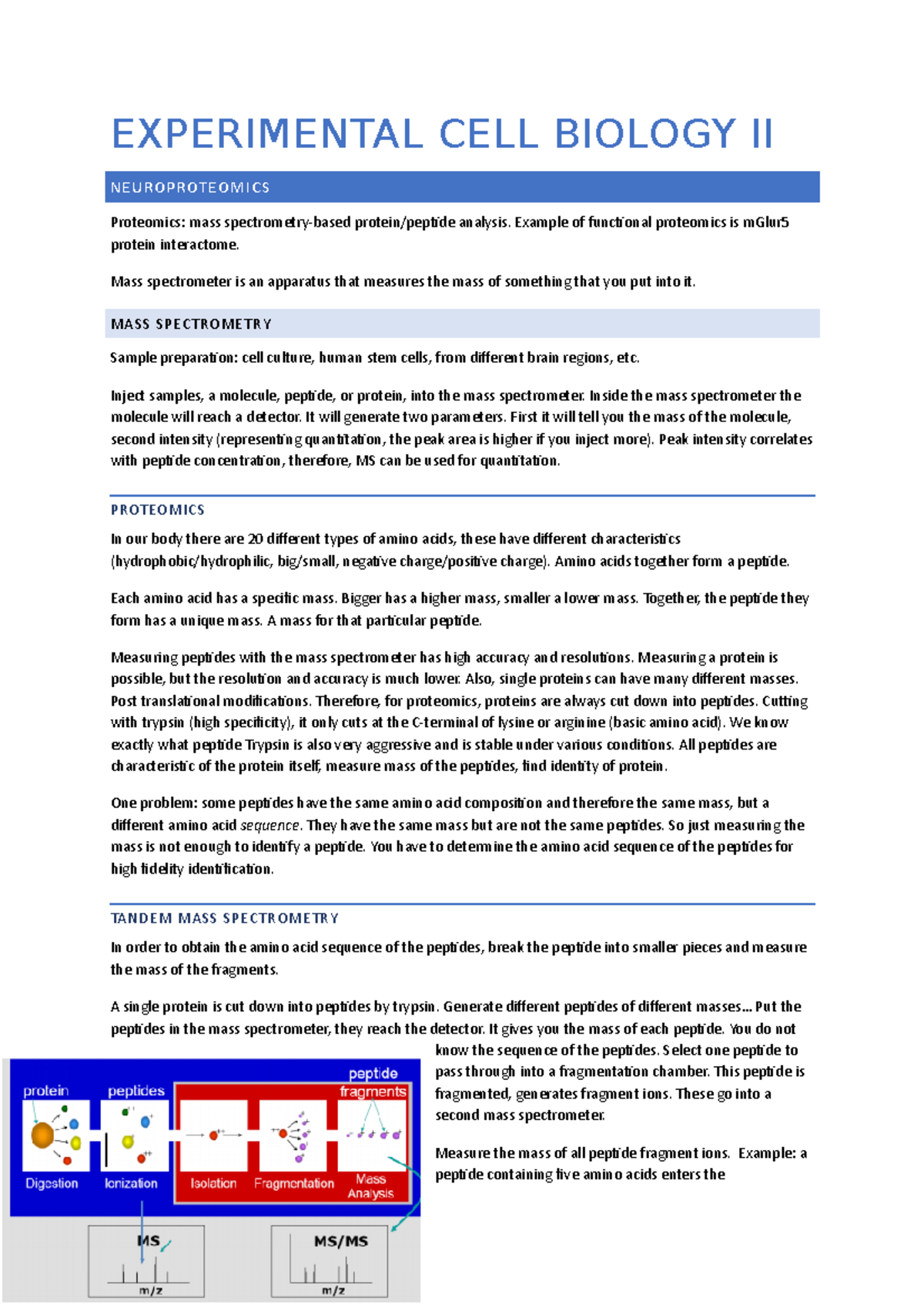 Experimental cell biology II - EXPERIMENTAL CELL BIOLOGY II ...