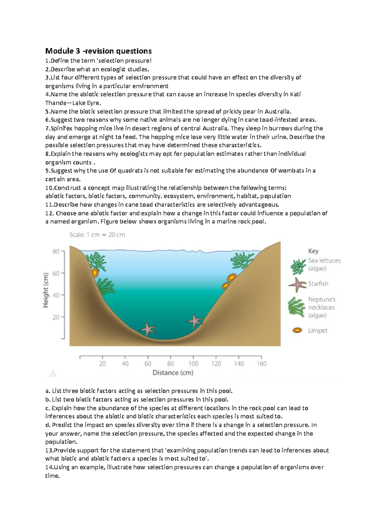 Module 3 revision questions - Module 3 - revision questions 1 the term ...