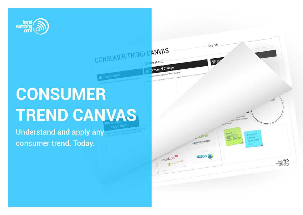 3b. Consumer Trend Canvas explaination - CONSUMER TREND CANVAS ...