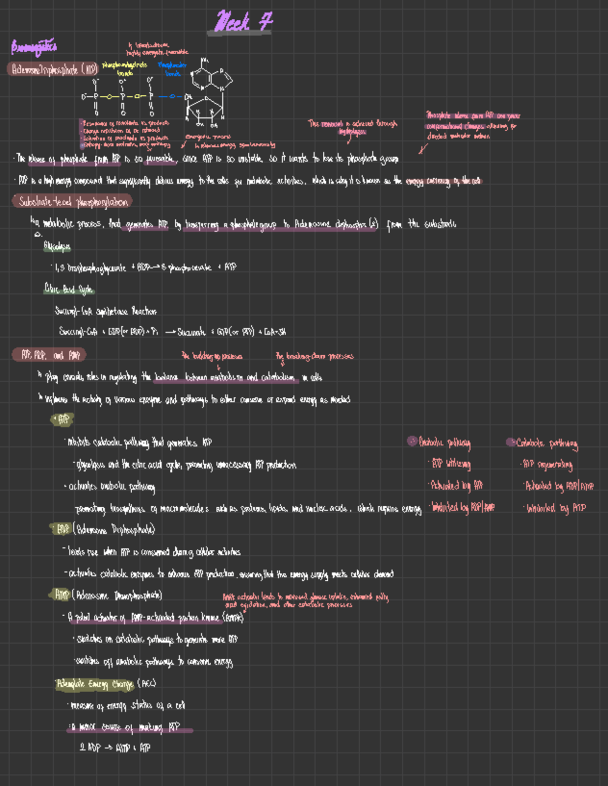 Learning objectives 7-10 - Week 7 Broenergetics If breakdown , highly energetic favorable NHz ...