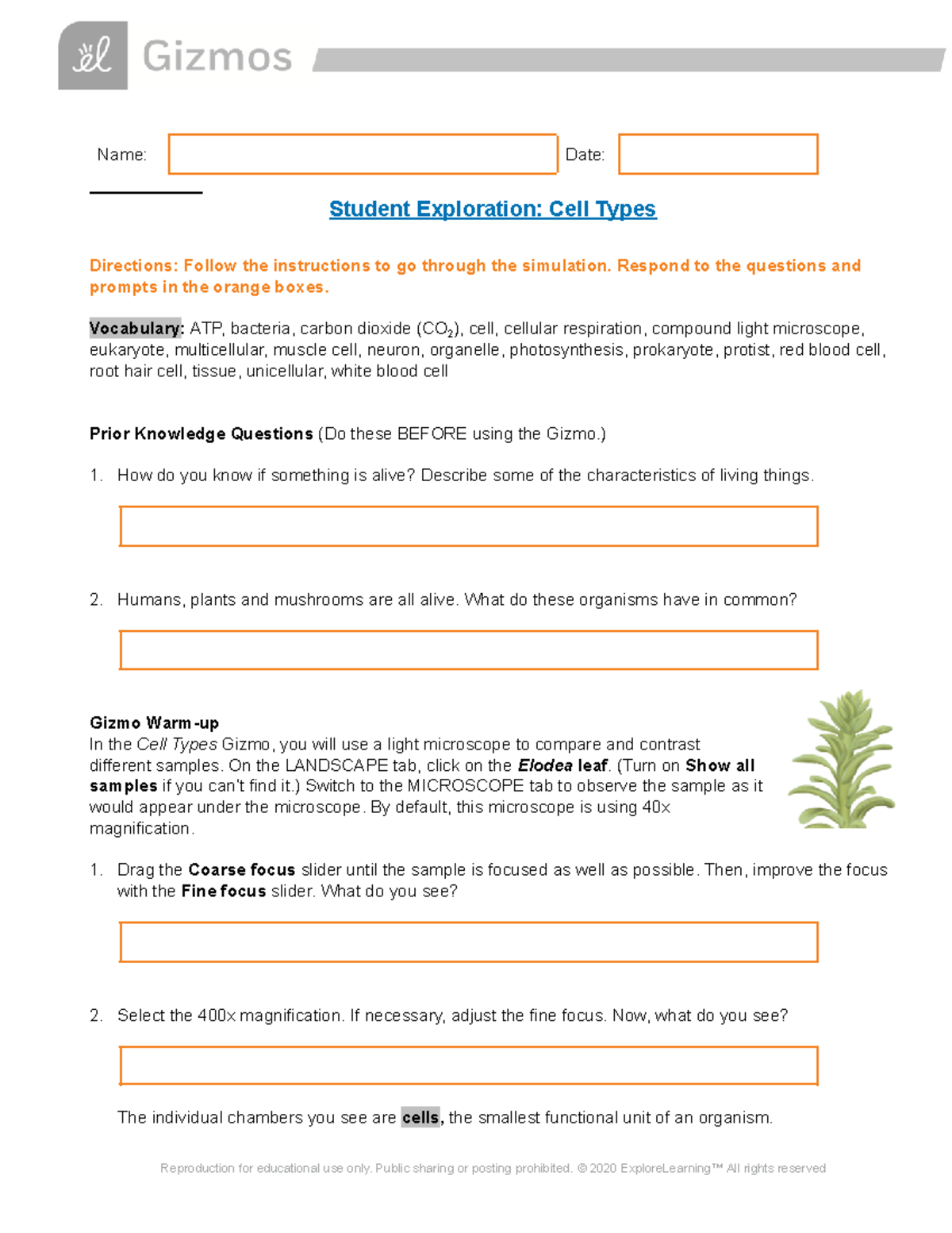 Types of Cells - Gizmos Activity Sheet - Student - Name: Date: Student ...