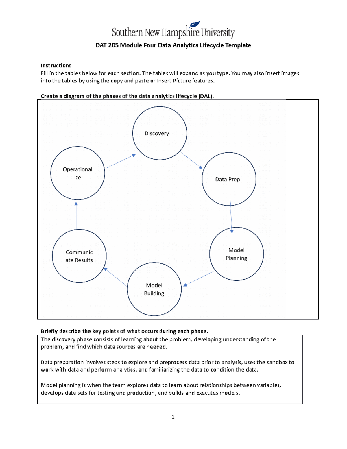 Dat 205 Module Four Data Analytics Lifecycle Template The Tables Will Expand As You Type You 