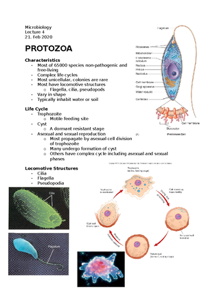 Lecture 13 transmission of infection - Lecture 12 virulence ...