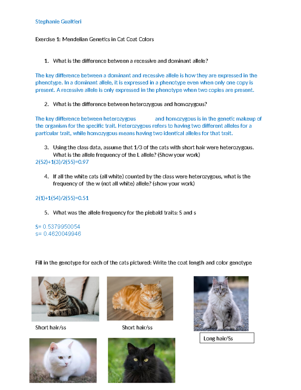 Cat Genetics Assignment Report - Exercise 1: Mendelian Genetics in Cat Coat Colors 1. What is ...