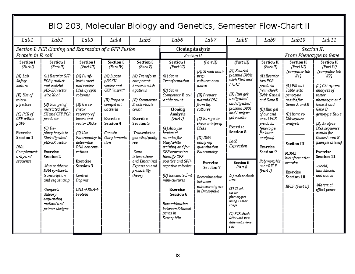 B- Summer Semester Flow 2022 - BIO 203, Molecular Biology and Genetics ...