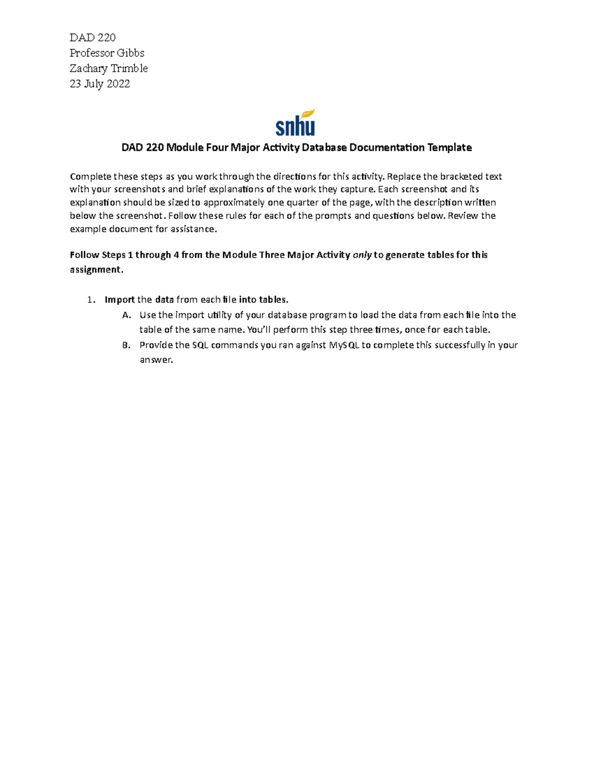 Dad 220 Module Four Major Activity Database Documentation Template Replace The Bracketed Text