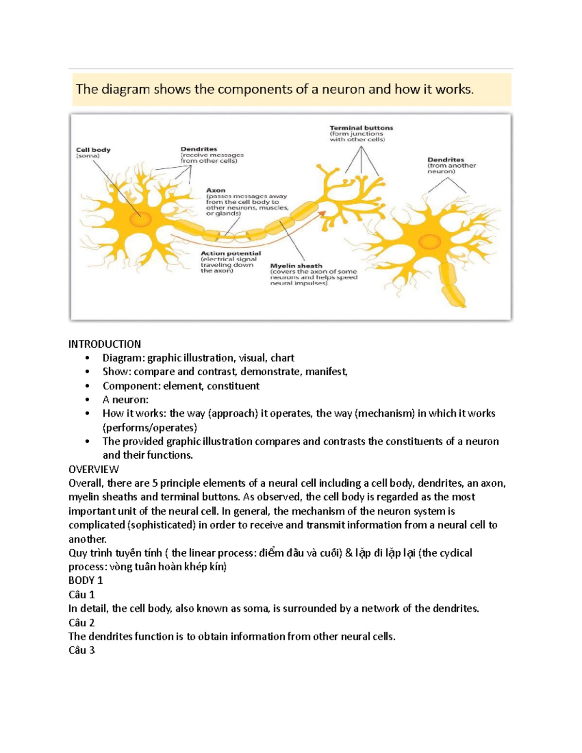 Ielts writing intensive - INTRODUCTION Diagram: graphic illustration ...