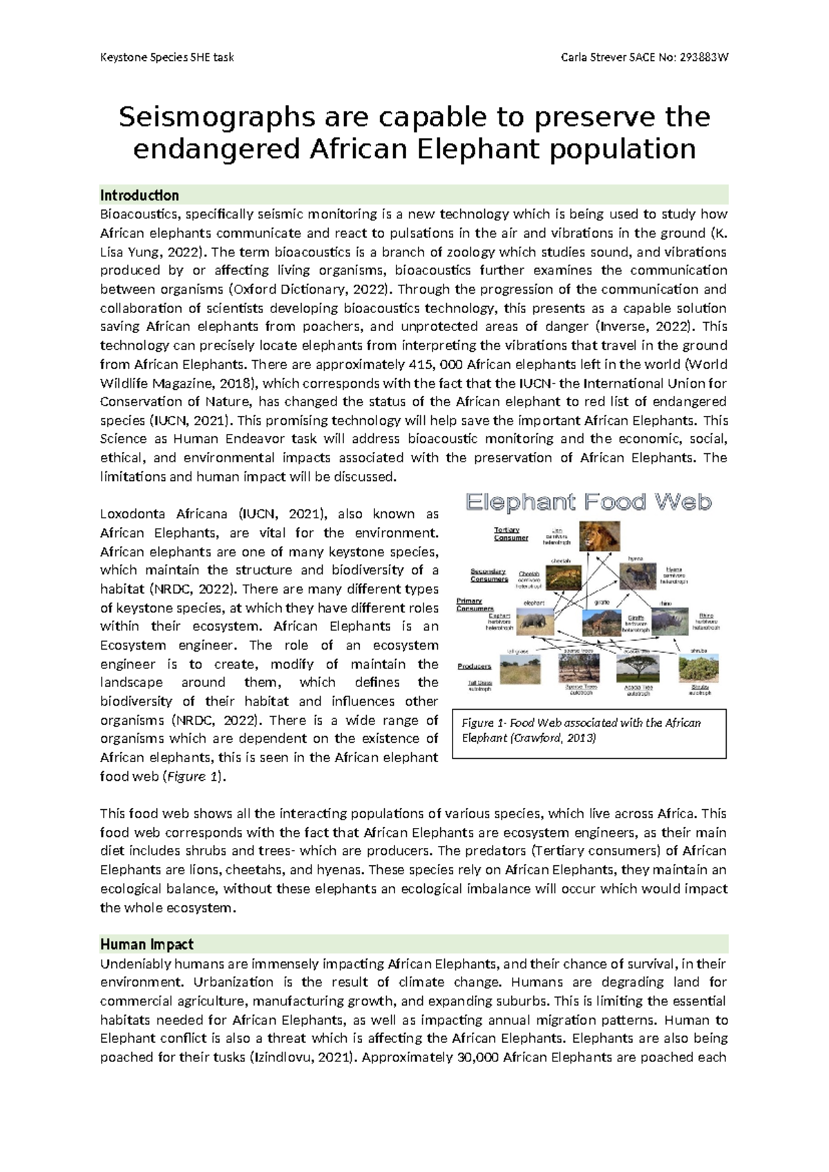 African Elephants SHE task - Seismographs are capable to preserve the ...