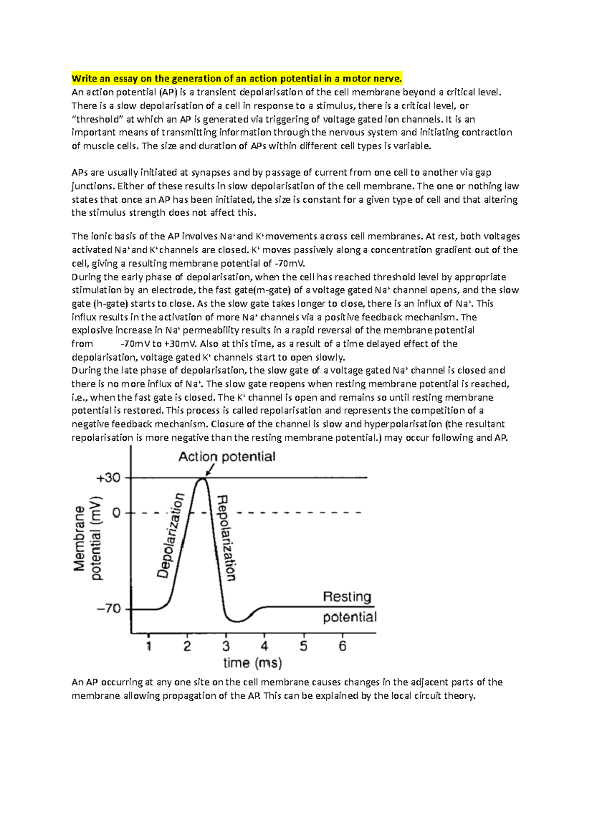 Generation of action potential in motor nerve - Write an essay on the ...