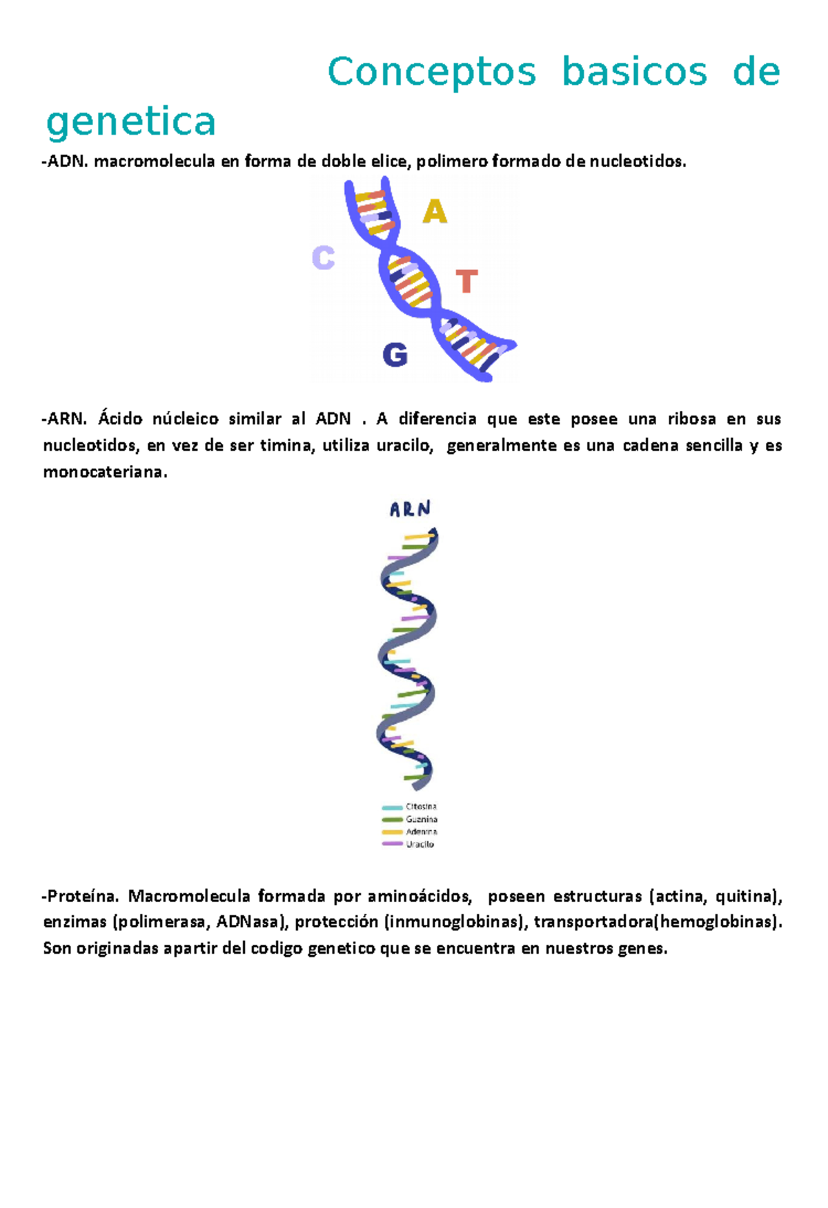 Alo conceptos basicos genética - Conceptos basicos de genetica -ADN. macromolecula en forma de ...