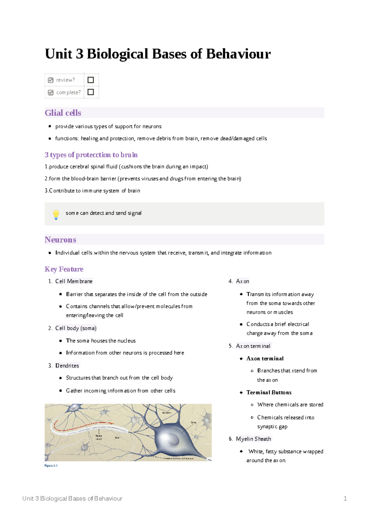 Unit 3 Biological Bases of Behaviour - Psych 101 - UWaterloo - Studocu