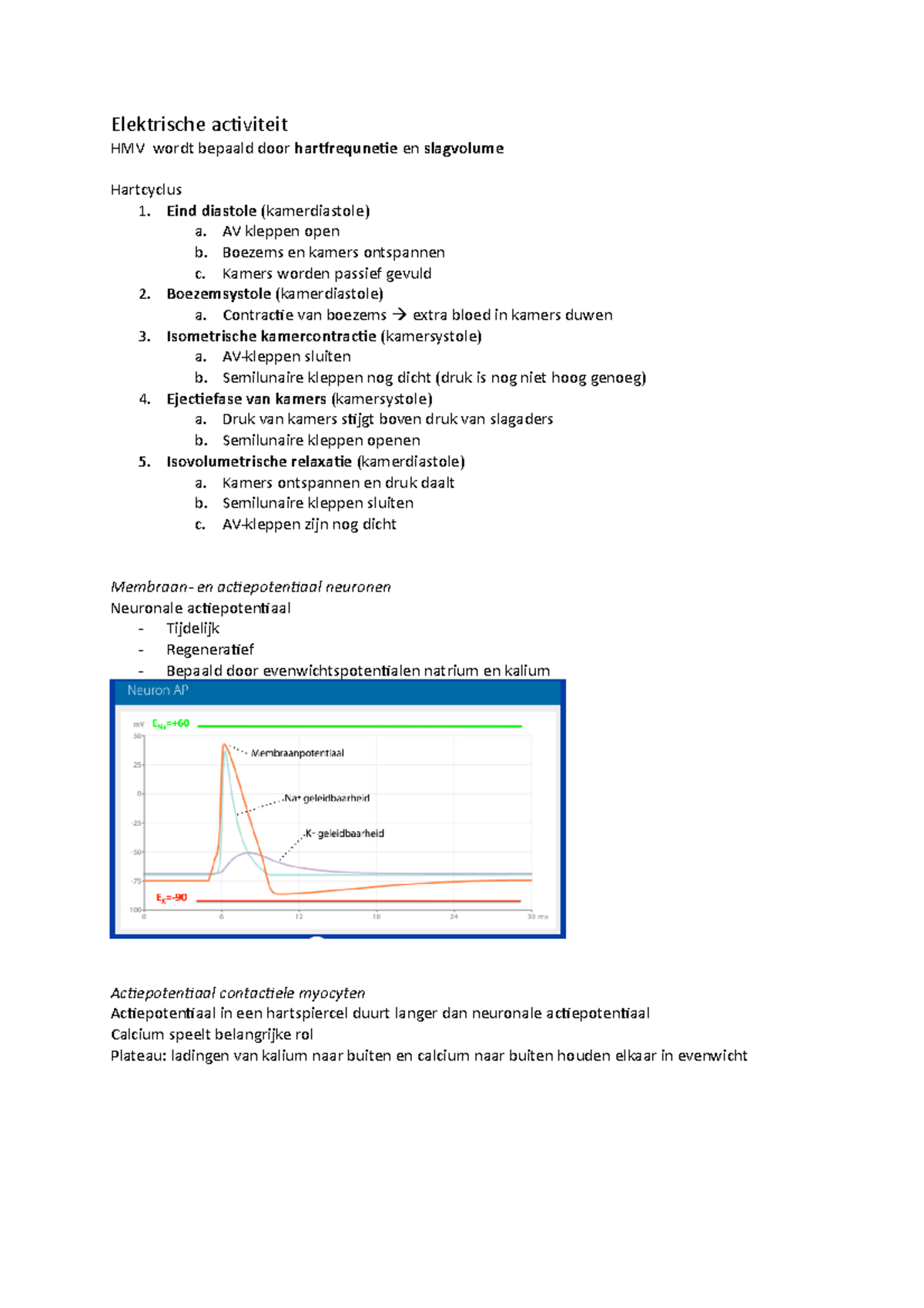 Elektrische activiteit - Eind diastole (kamerdiastole) a. AV kleppen ...