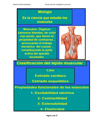 03- Musculos DEL Esqueleto Apendicular - MÚSCULOS DEL GRUPO ANTERIOR ...