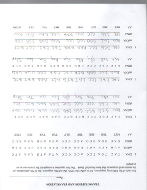 Sickle Cell Packet - Worksheet - BIO 201 - Studocu