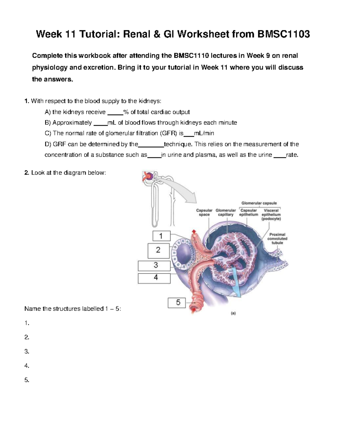 Renal and GI tract tutorial - Week 11 Tutorial: Renal & GI Worksheet ...
