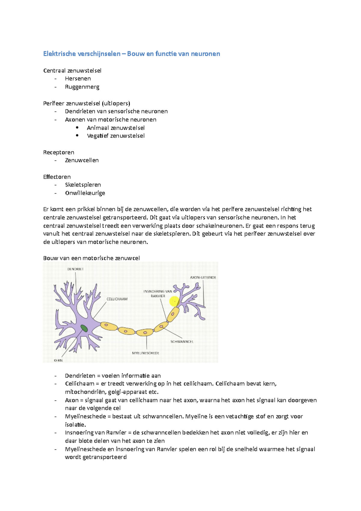 Bouw en functie van neuronen - Dit gaat via uitlopers van sensorische ...