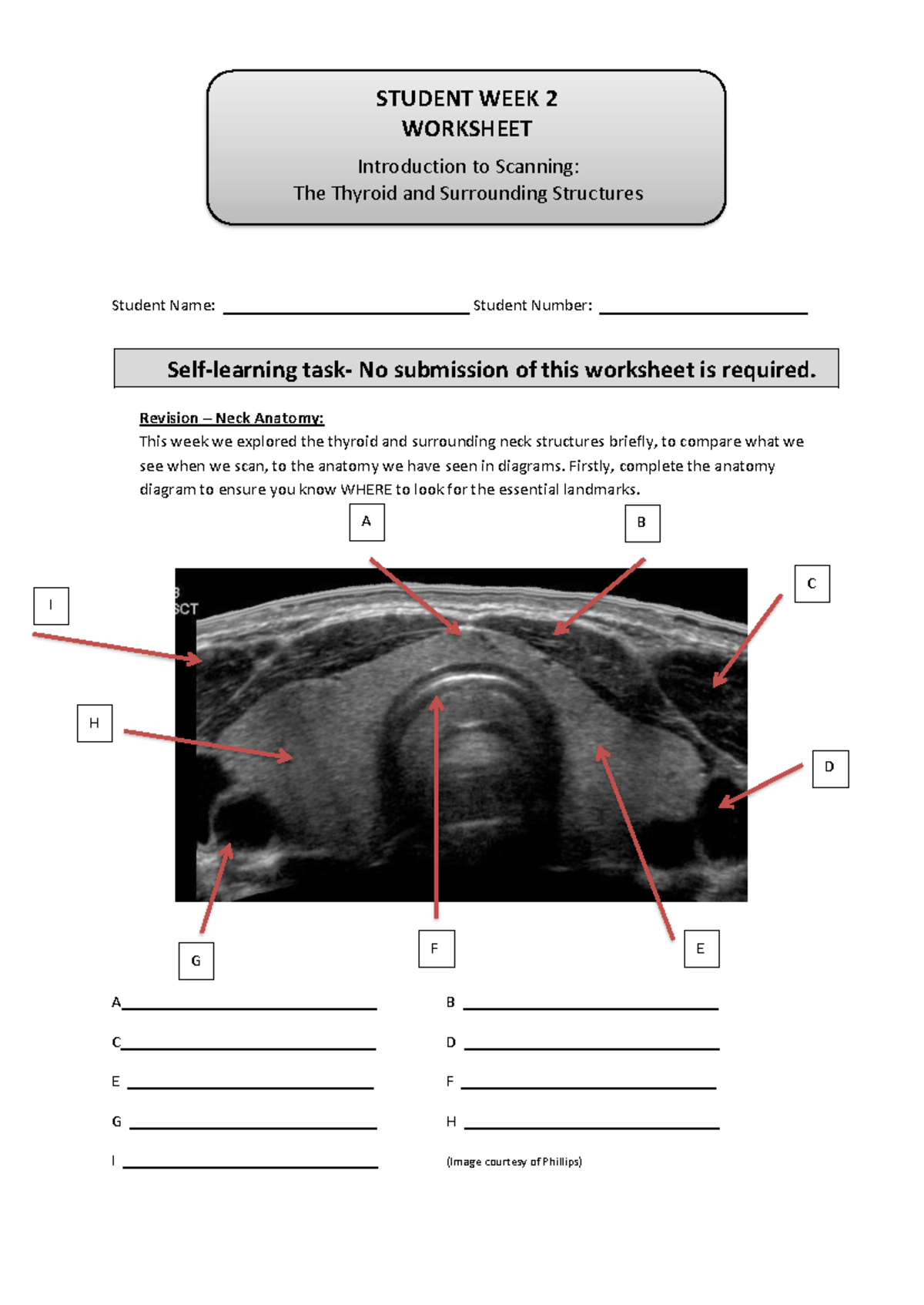 Week 2 Self Learning Task - STUDENT WORKSHEET WEEK 2 The Thyroid and ...