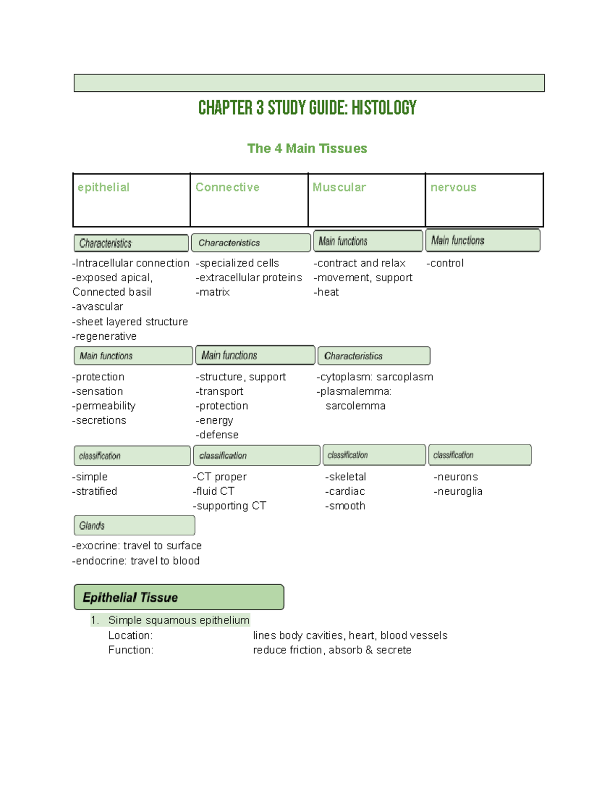 Ch 3 histology - anatomy lecture notes from Dr. Riley notes based off ...