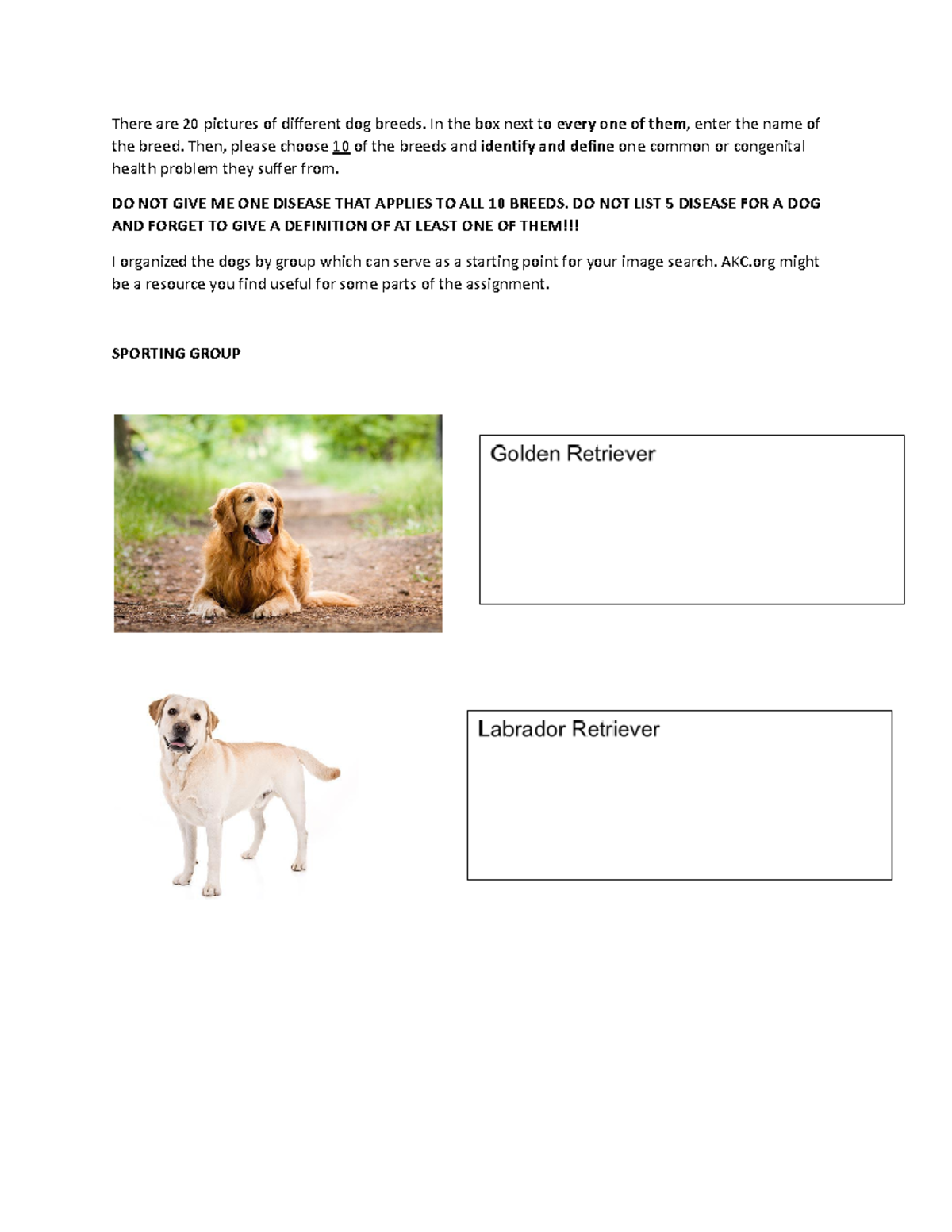 Dog Breed Homework - There are 20 pictures of different dog breeds. In ...