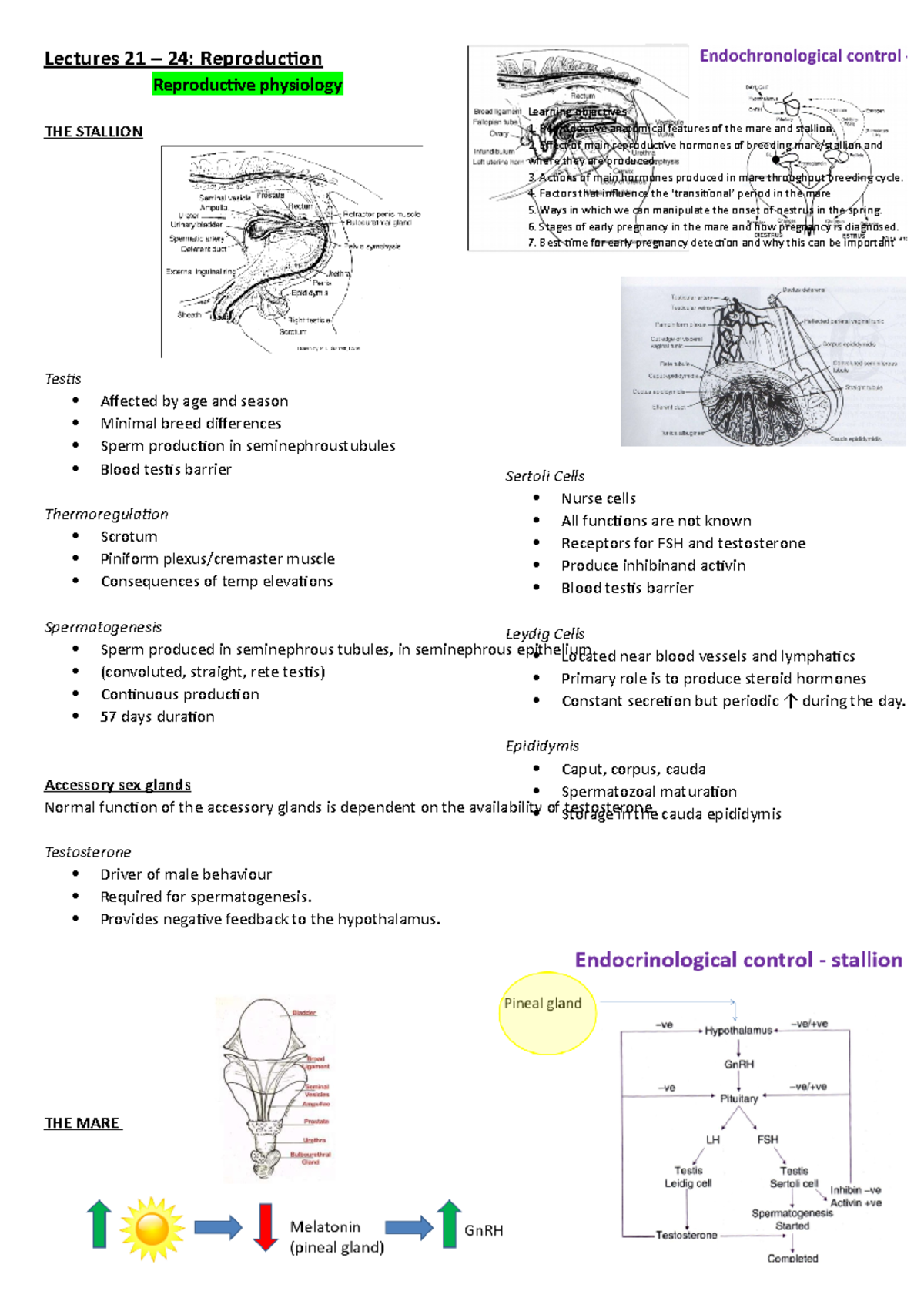 L21-24 Repro - Lecture notes 21-24 - Lectures 21 – 24: Reproduction ...