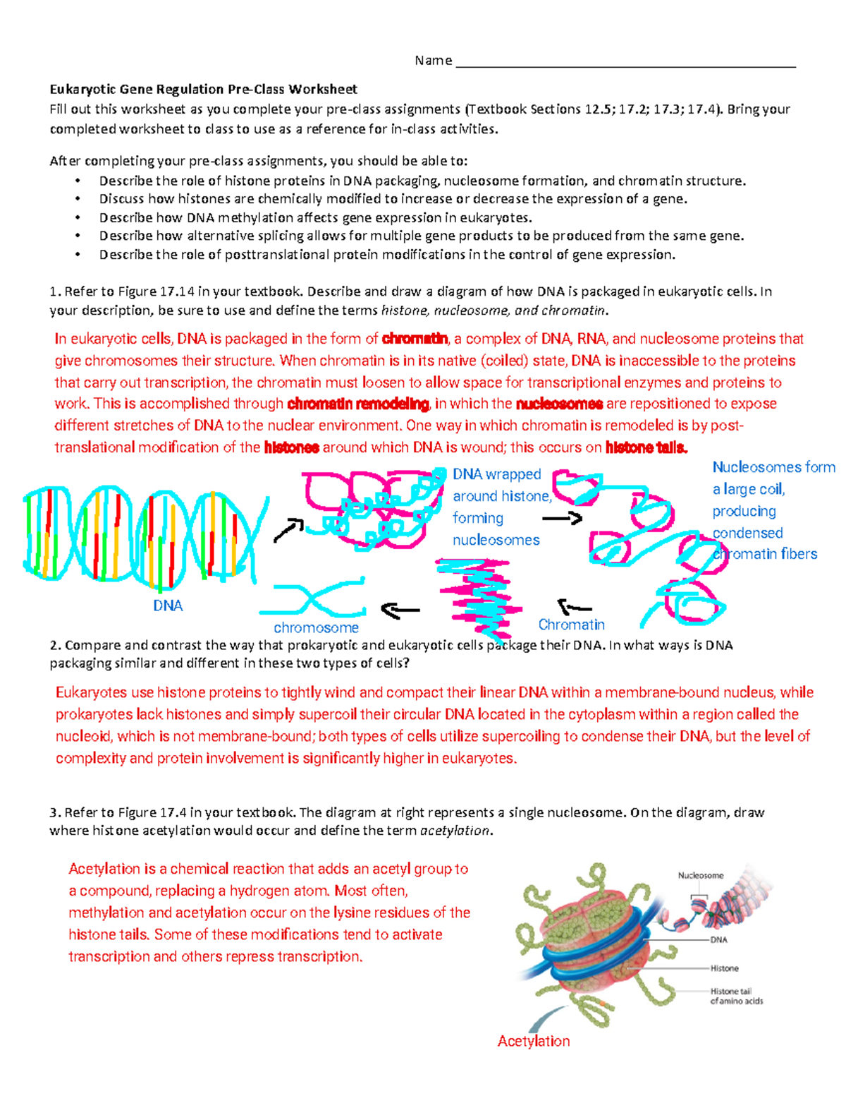 Kami Export - Week 8a Pre-Class Reading Guide - Eukaryotic Gene ...