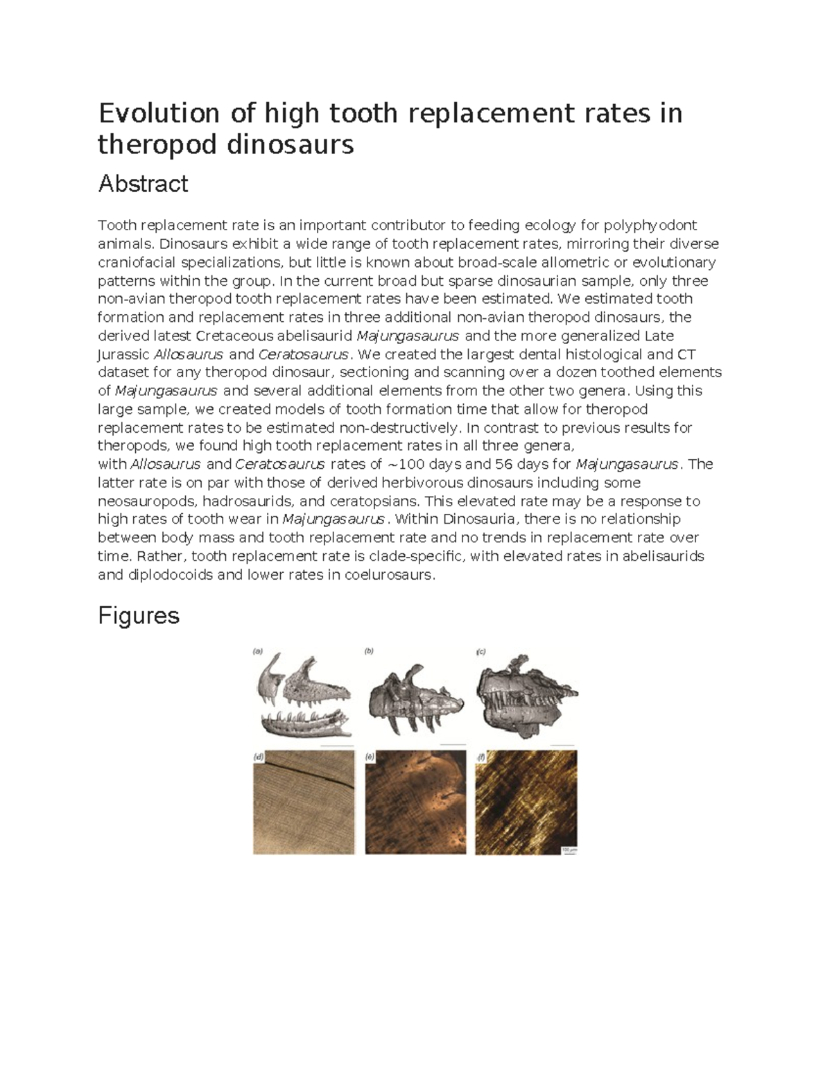 Evolution of high tooth replacement rates in theropod dinosaurs ...