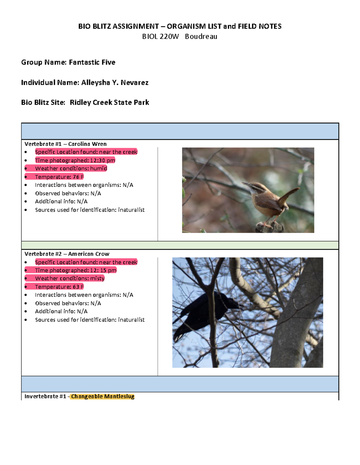 Bio Blitz Field Notes - Animals and plants that were identified while ...