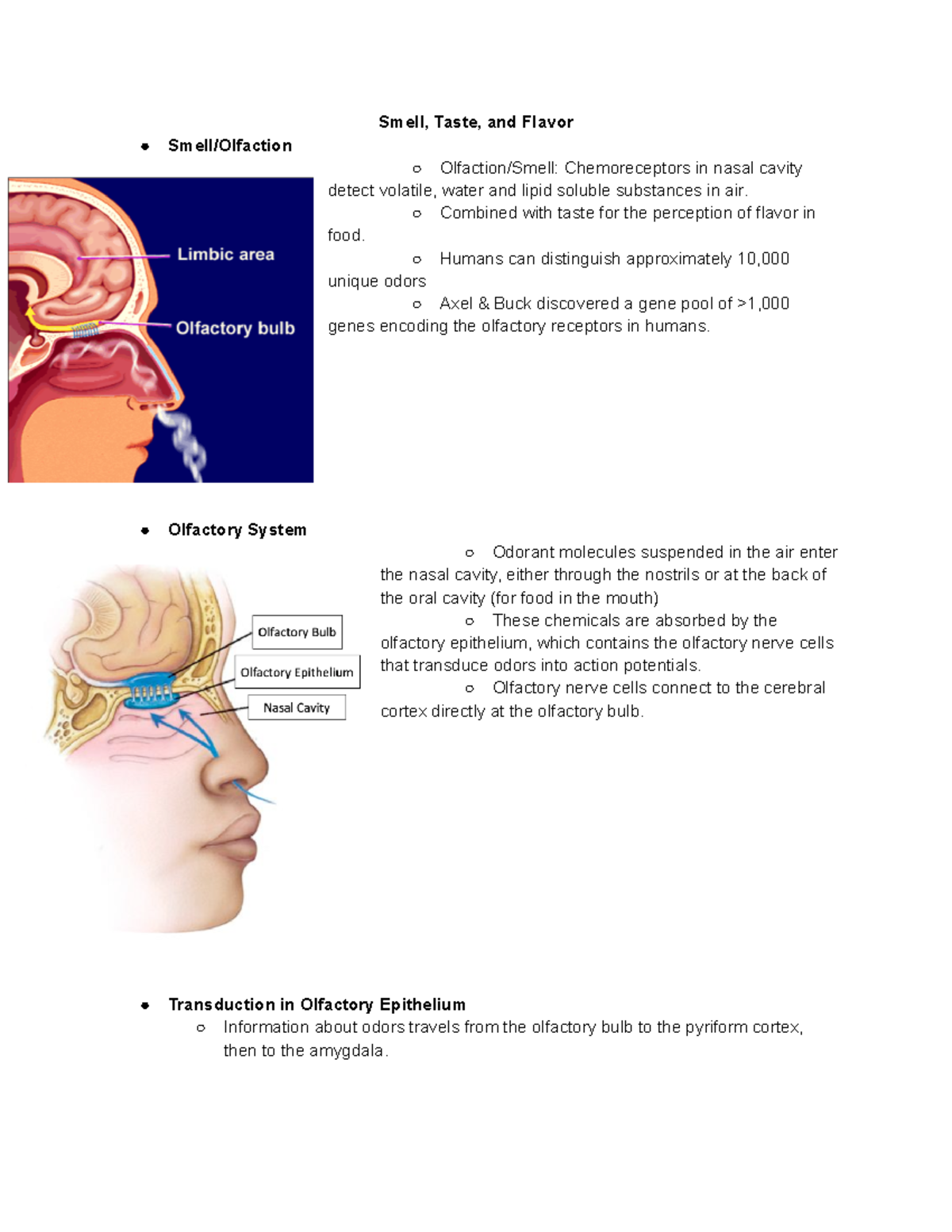 Perception Module 12 - Smell, Taste, and Flavor - Smell, Taste, and ...