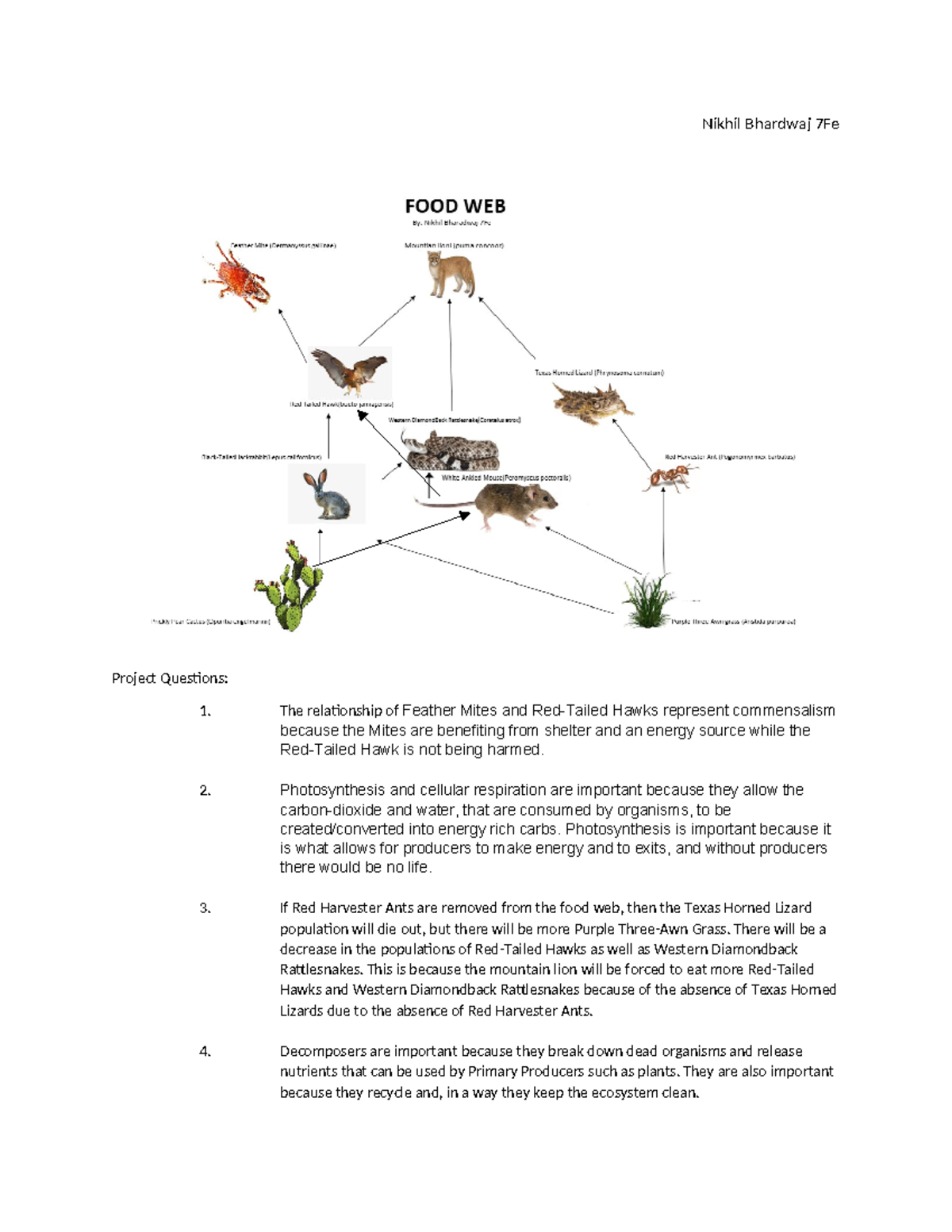 Food Web Project - adfadfasf asdf asdf asdf asdfasdf asdf asdf sadf sdf ...