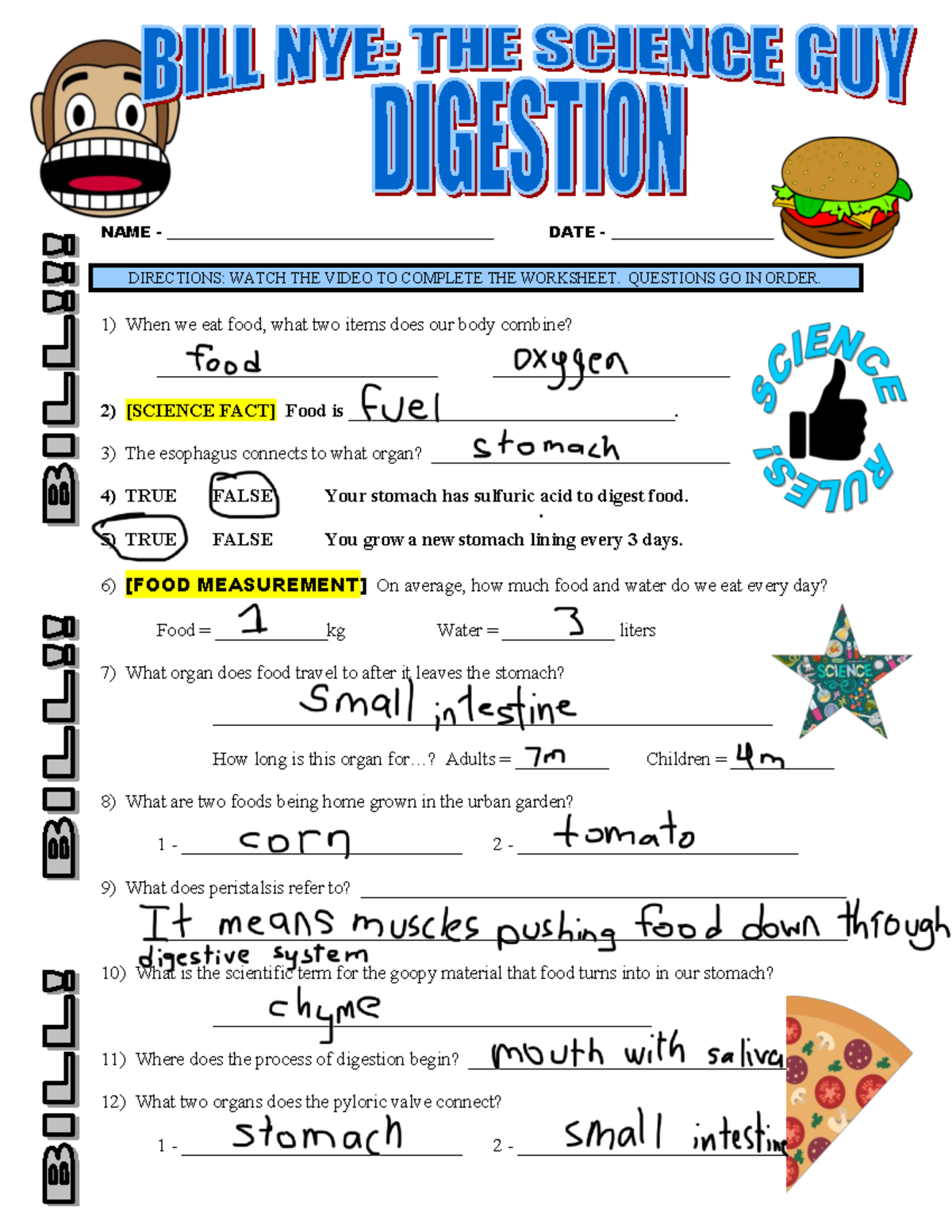 Bill Nyethe Science Guy - Digestion - NAME ...