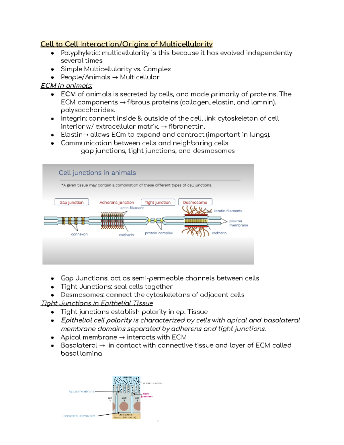 BIO Notes Review - Cell to Cell Interaction/Origins of Multicellularity ...