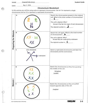 SAEE - 01 Informe sobre el funcionamiento escolar o académico ...