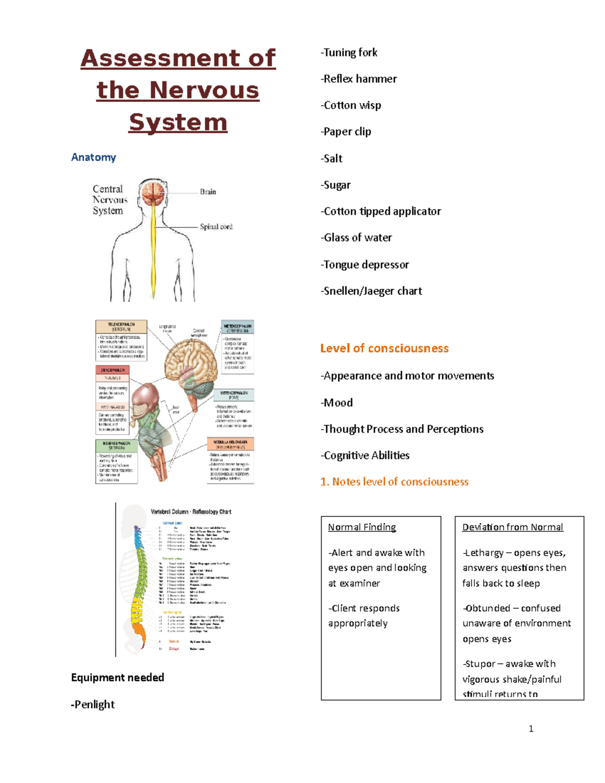 HA of the Nervous System - Nursing - Studocu