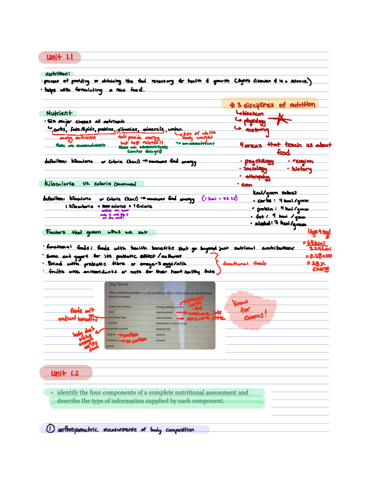 Unit 1 - Lecture notes 1 - Unit 1. nutrition process of ...