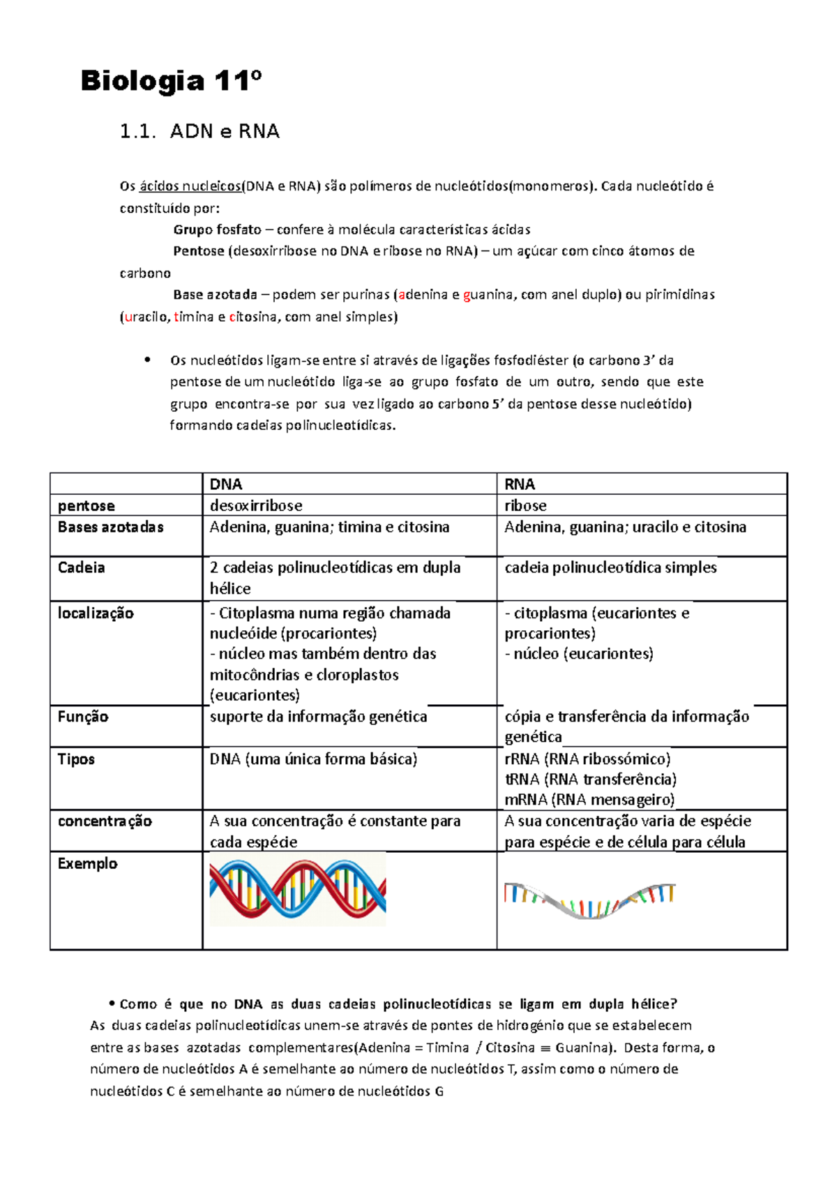 Resumos biologia primeiras materias 11ano - Biologia 11º 1. ADN e RNA ...