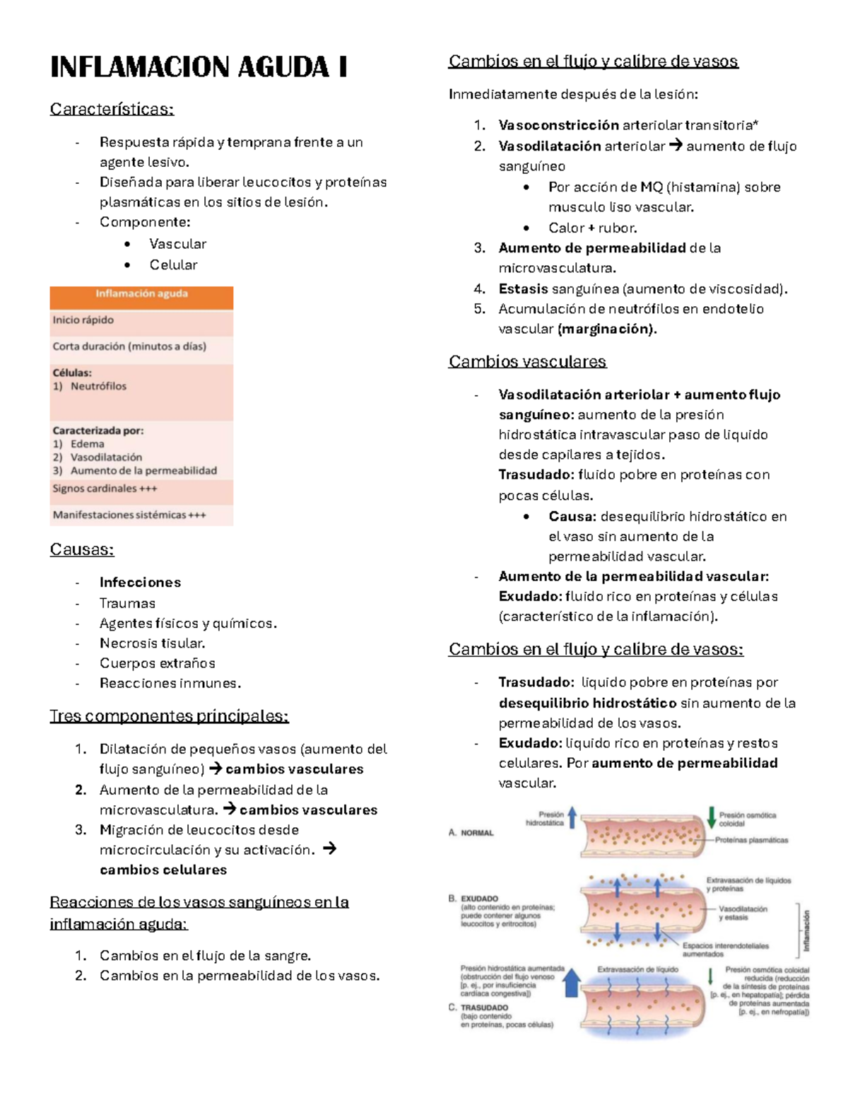 Inflamacion Aguda I - apuntes - INFLAMACION AGUDA I Características ...