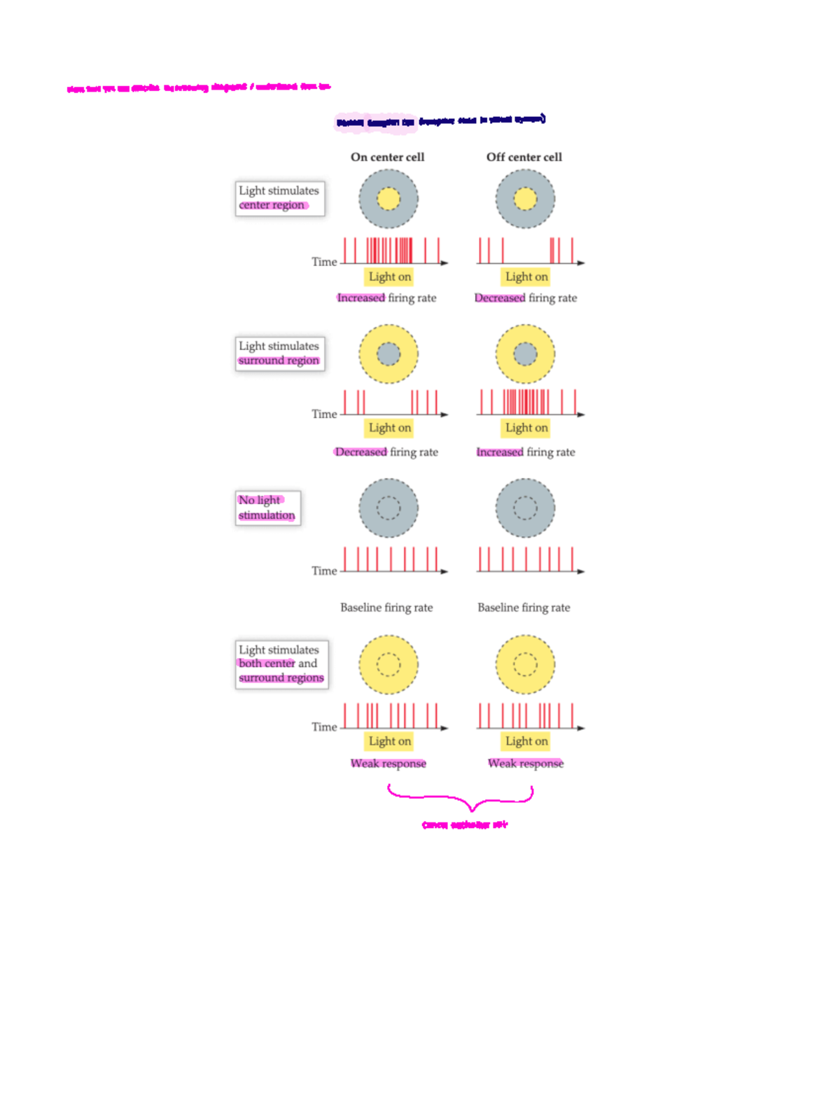 Perception Diagrams ...