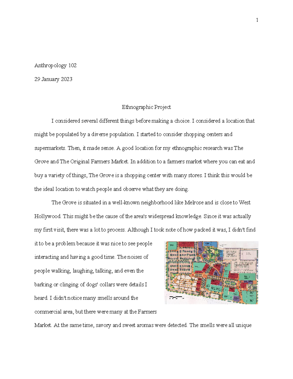 Ethnographic Project - Jessica Tsaturyan Hardy Anthropology 102 29 ...