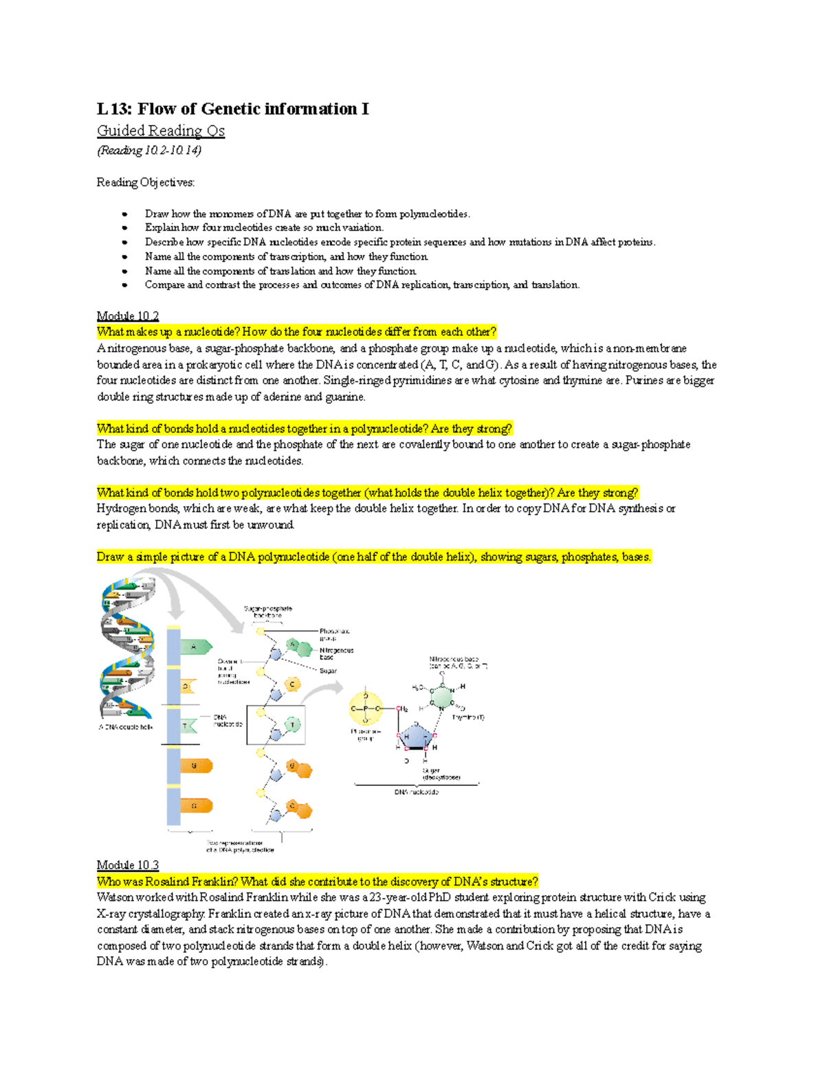 GRQ L13 - Biology GRQ assignment - L13: Flow of Genetic information I ...