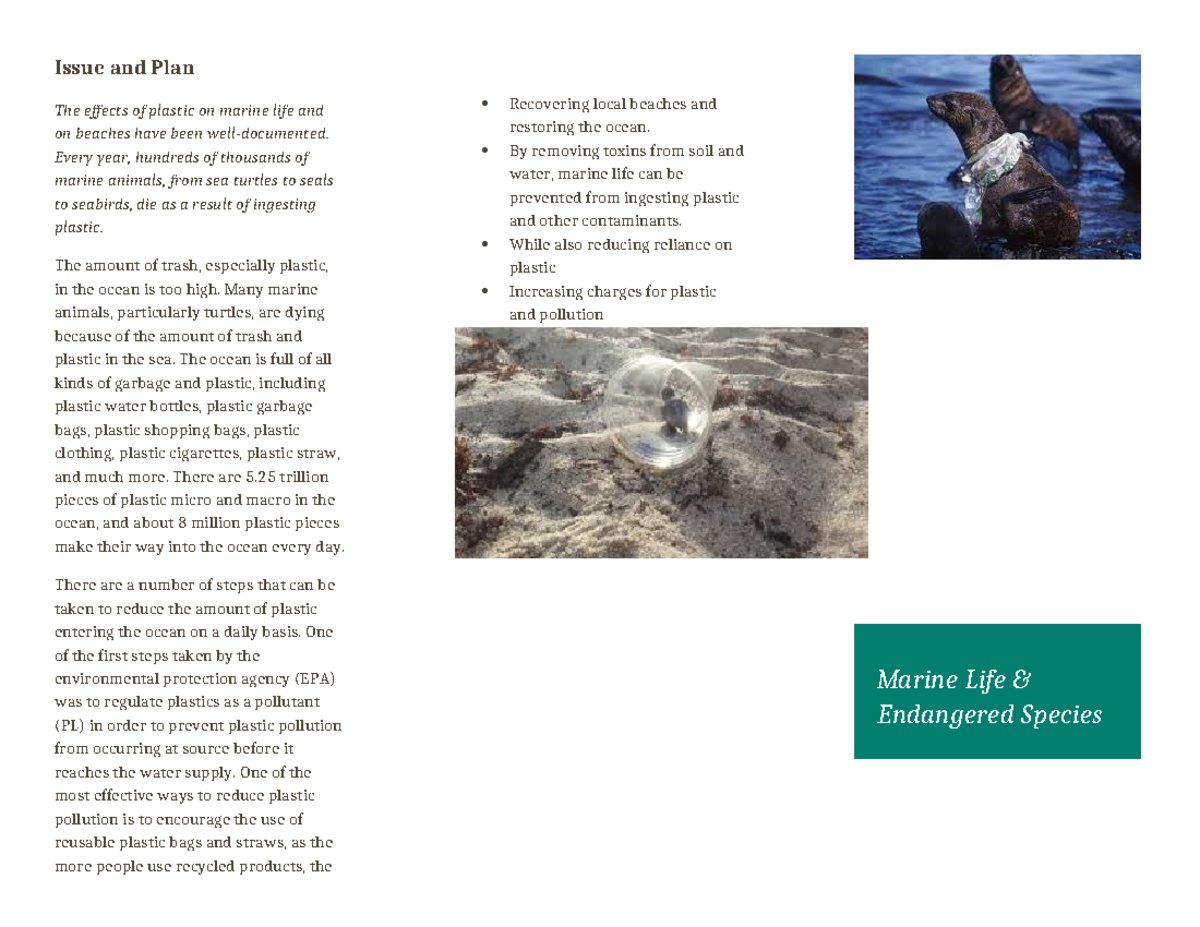 Brochure template (1) - Issue and Plan The effects of plastic on marine ...