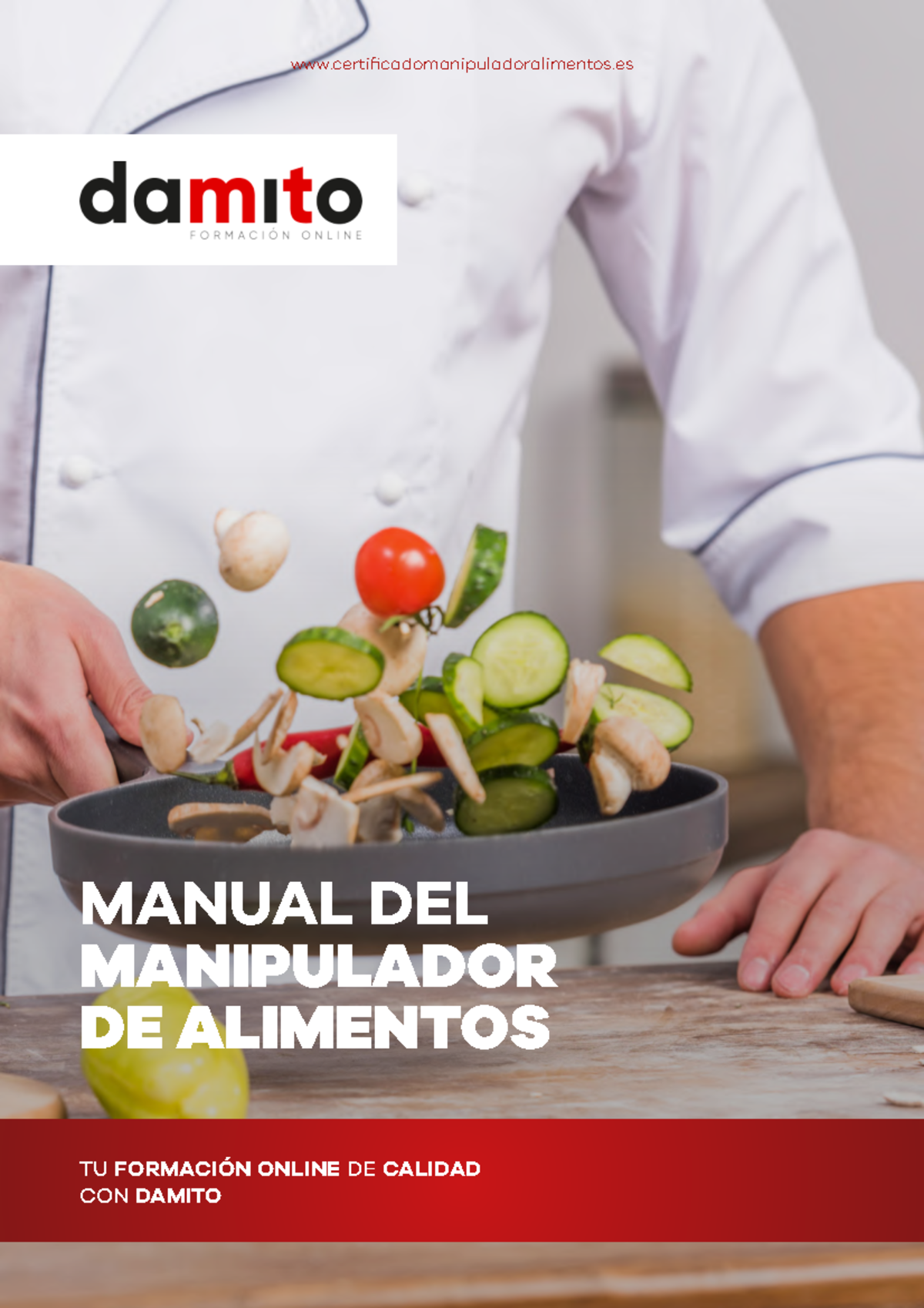 Temario MA Damito 1 - Cuaderno - certificadomanipuladoralimentos damito ...