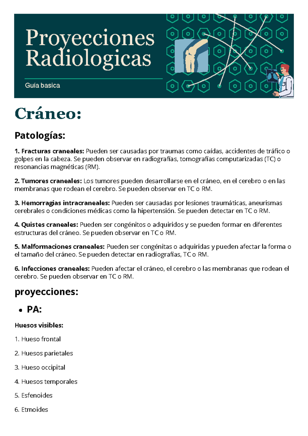Proyecciones radiológicas - Guía básica - Cráneo: Patologías: Fracturas ...