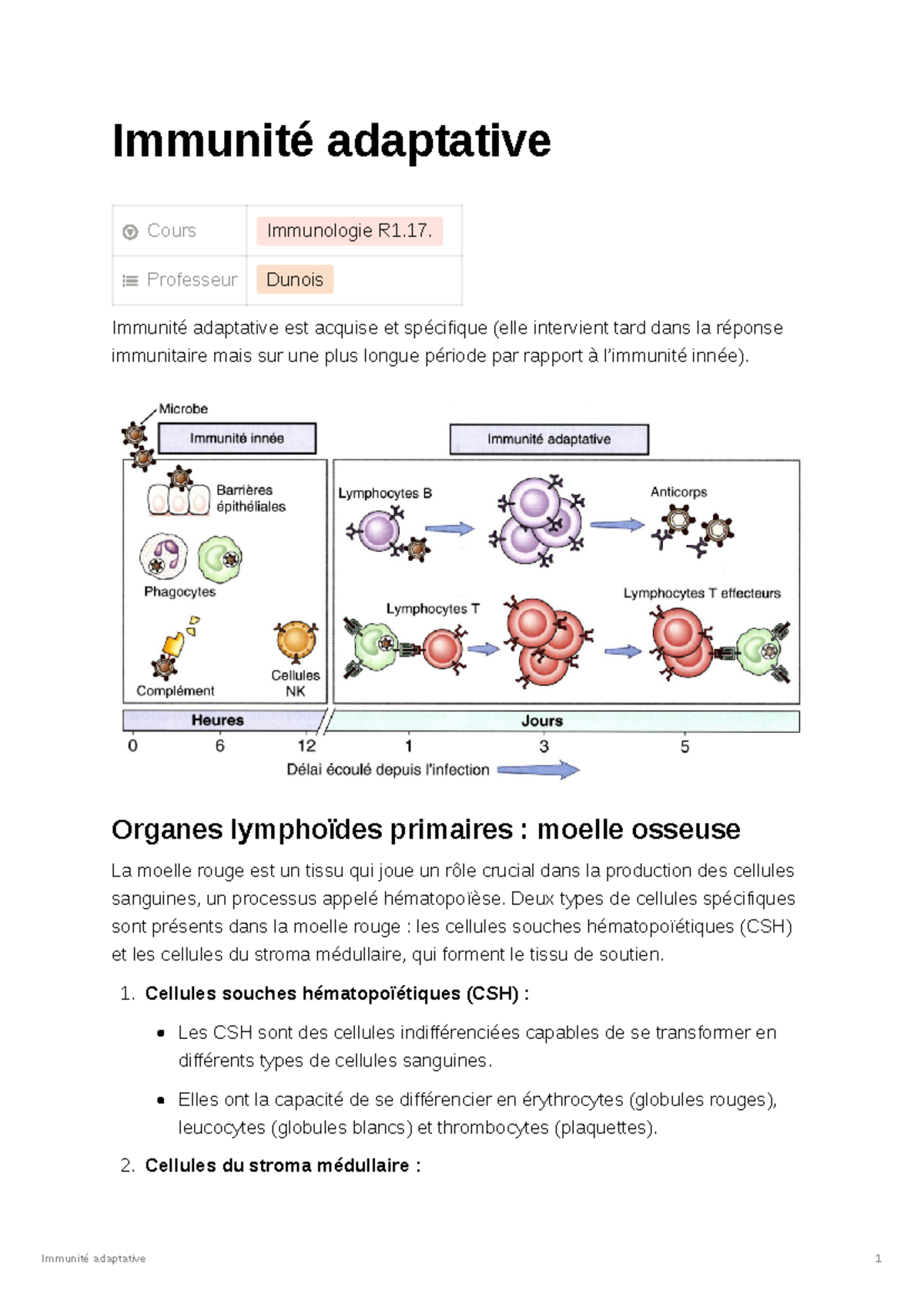 Immunité adaptative - BUT GB BMB1 - Immunité adaptative Cours ...