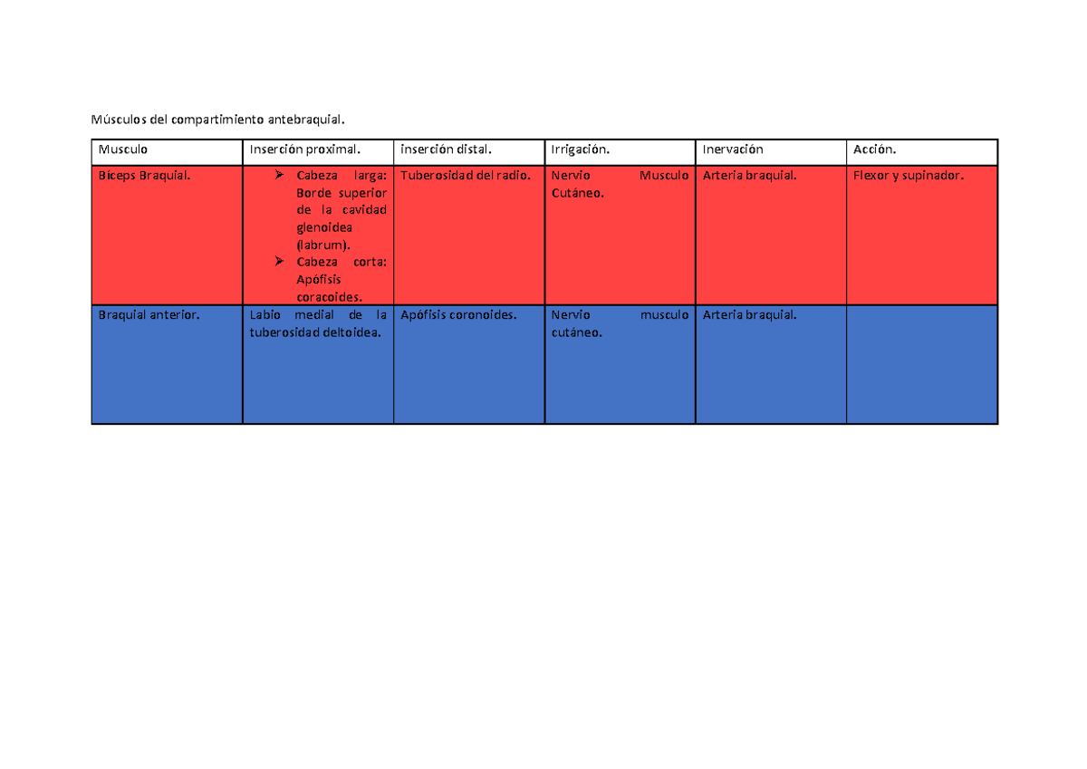 Brazo - Tabla de información sobre Anatomía - Músculos del ...
