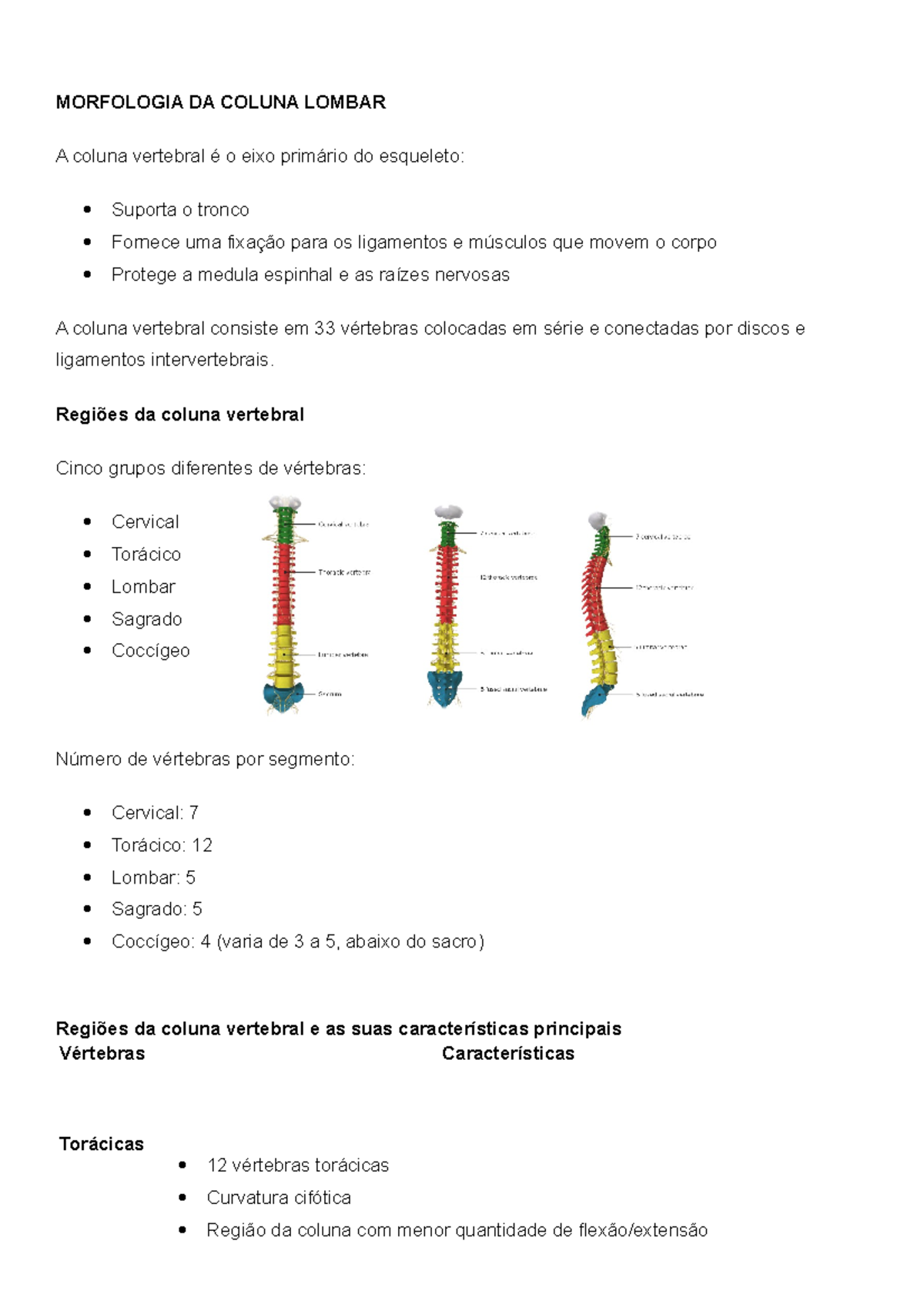 S1P2 - Lombalgia - ortopedia - MORFOLOGIA DA COLUNA LOMBAR A coluna ...
